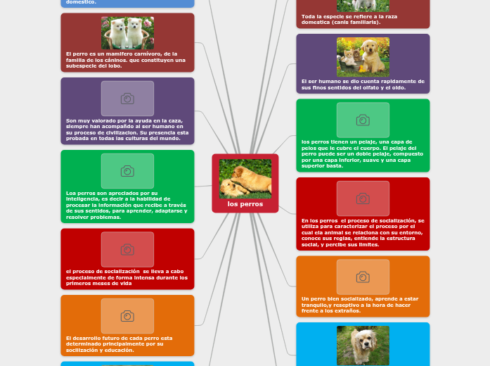 los perros - Mind Map